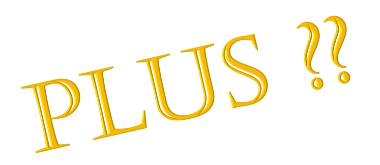 フランス語の plus の発音 | トレビアンフランス語アカデミー